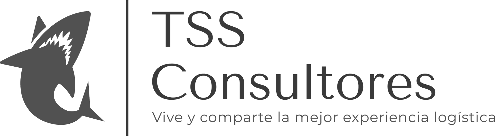Login | TSS Consultores